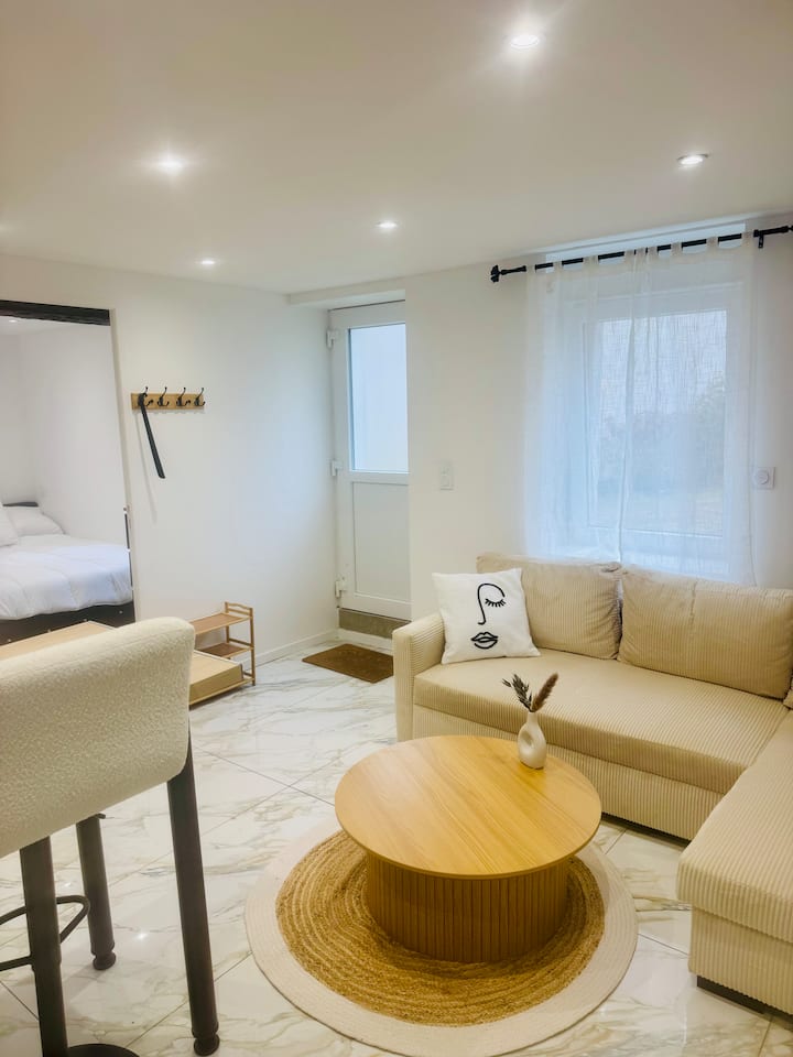 App Grand Studio, Calme, Centre-ville De Nevers. - Nevers