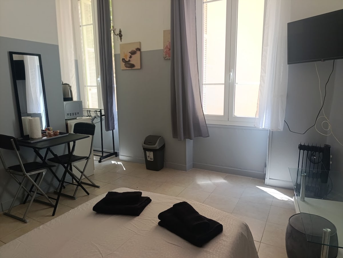 The Green Nest *Large cozy quiet studio* - Apartments for Rent in Nice ...
