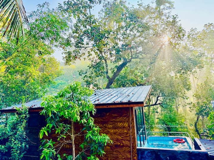 Treehouse With Private Pool By Rivertree Farmstays - Wayanad