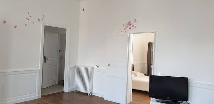 Appartement En Plein Centre Ville Angoulême - Angoulême