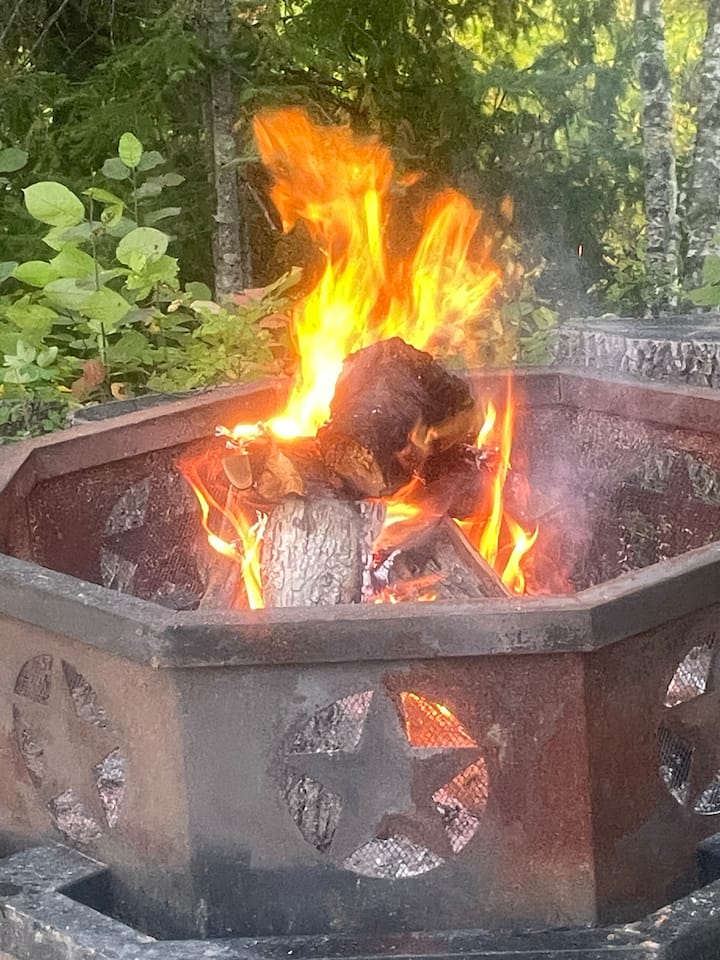 Quiet Cozy Private Cabin - Rainy Lake