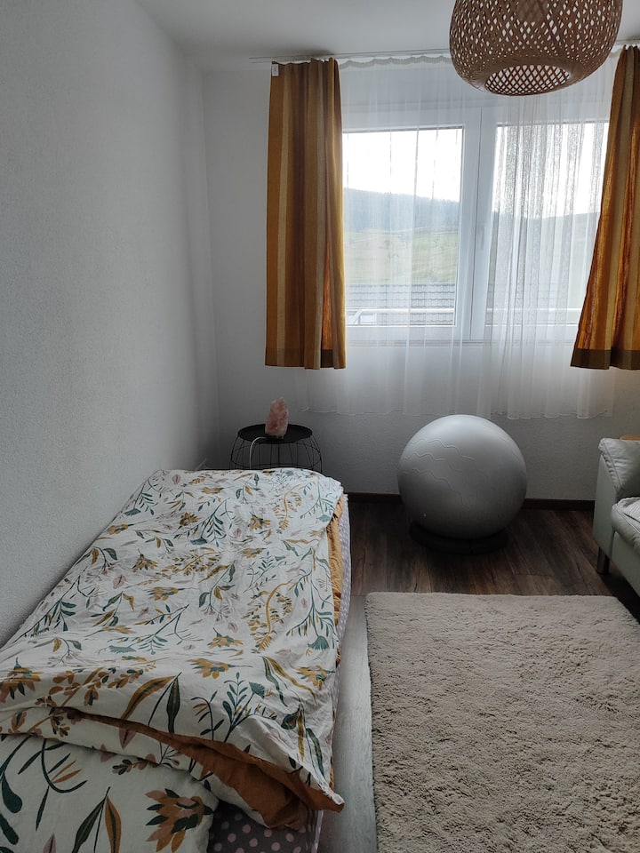 Charmantes Privates Zimmer - Schaffhausen