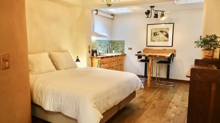 The Central Oasis - Alkmaar