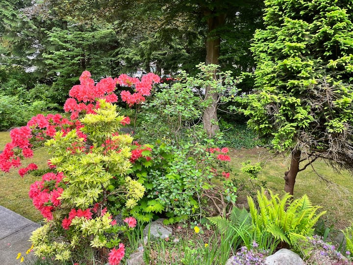 Spacious 2 Bedroom Suite W/beautiful Garden Patio - Grouse Mountain