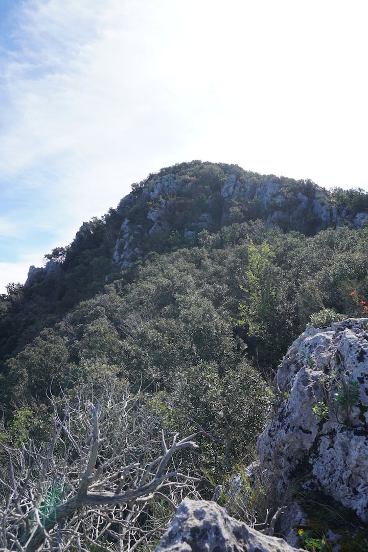 La Casa Di Artur - Viterbo