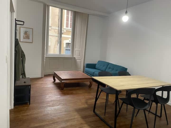 T2 Ancien Rénové Hyper-centre - Laval