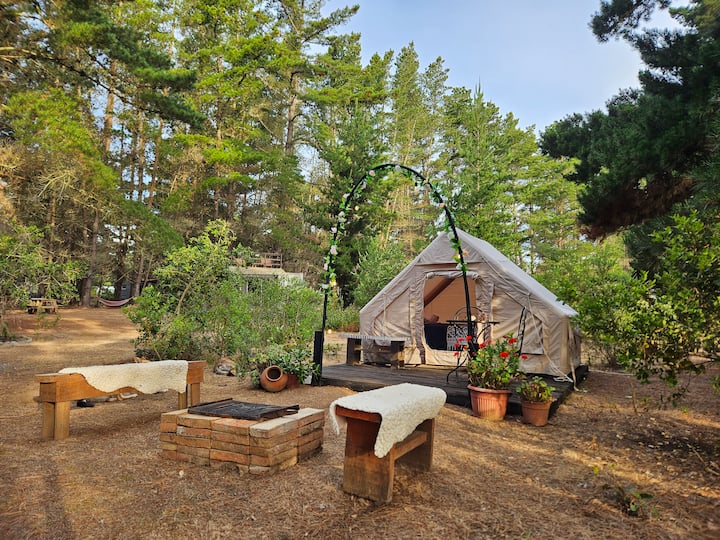 Glamping: "La Tienda Secreta Del Bosque" - El Quisco