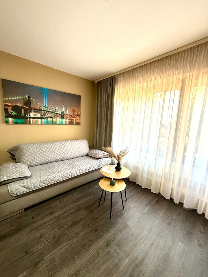 2-modernes 1-raum Apartment Ruhig Mit Terrasse - Wiesbaden