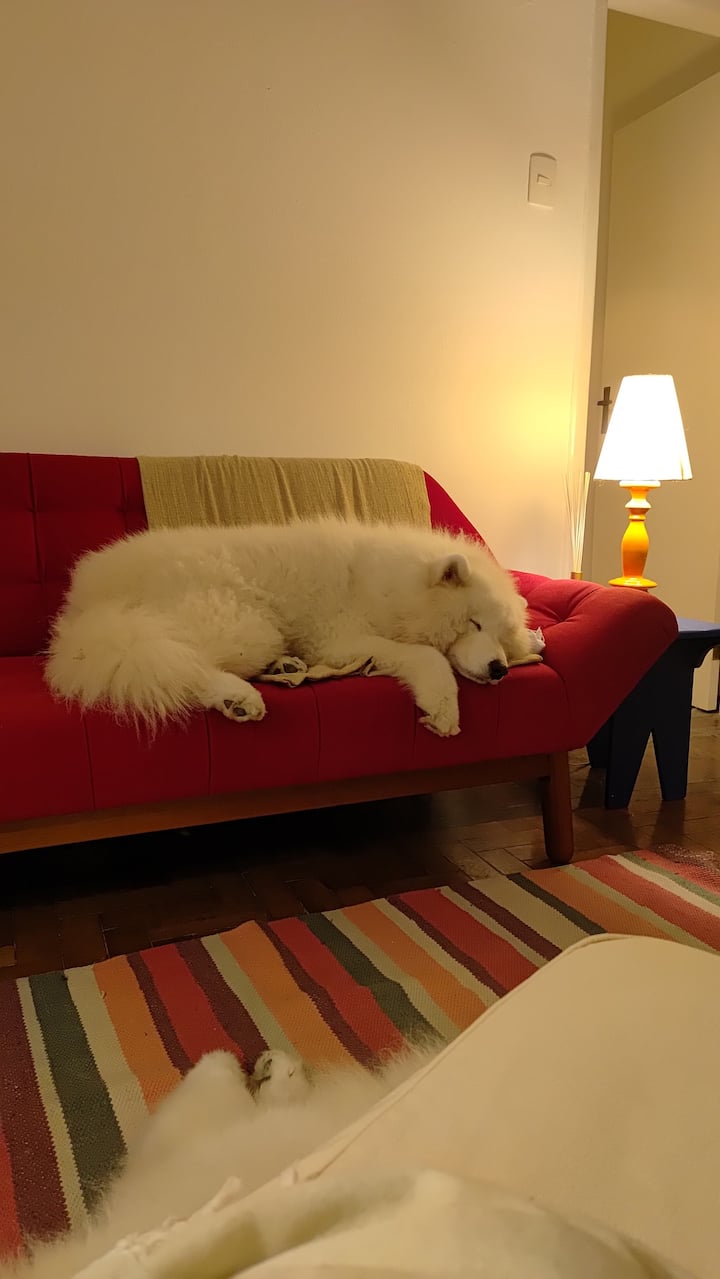 Casa Dois Quartos Em Icaraí Apenas Para Ano Novo - Niterói
