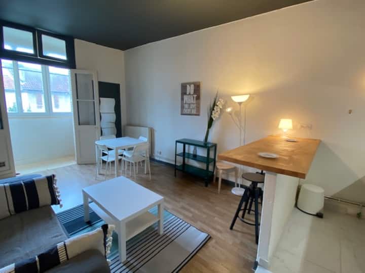 Charme Béarnais, Proche Centre De Pau – Détente - Pau