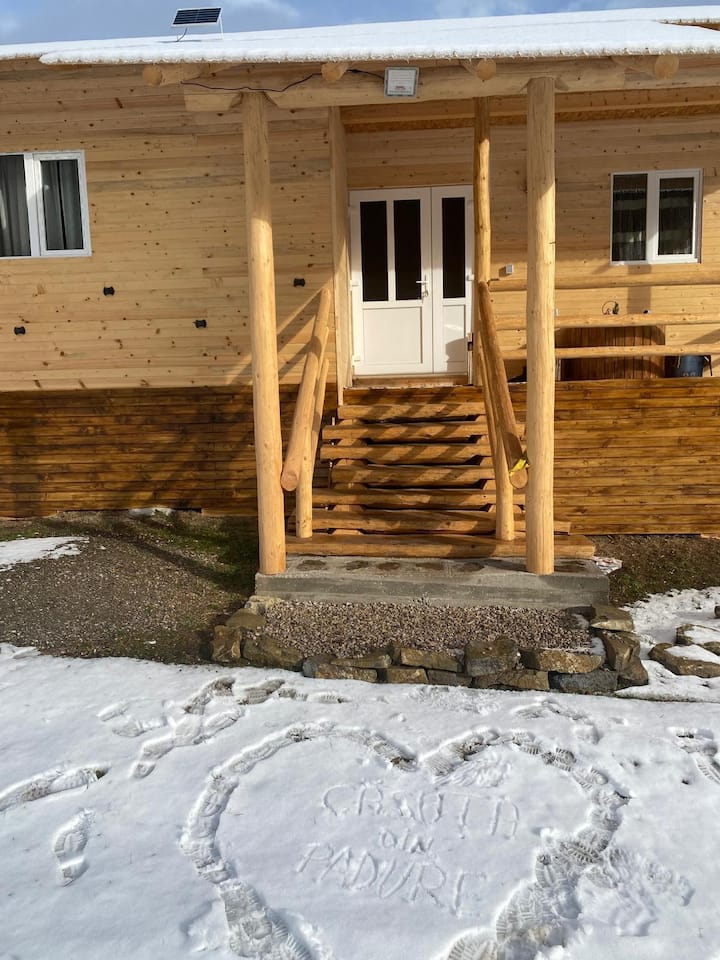 Căsuța Din Pădure - Fundu Moldovei