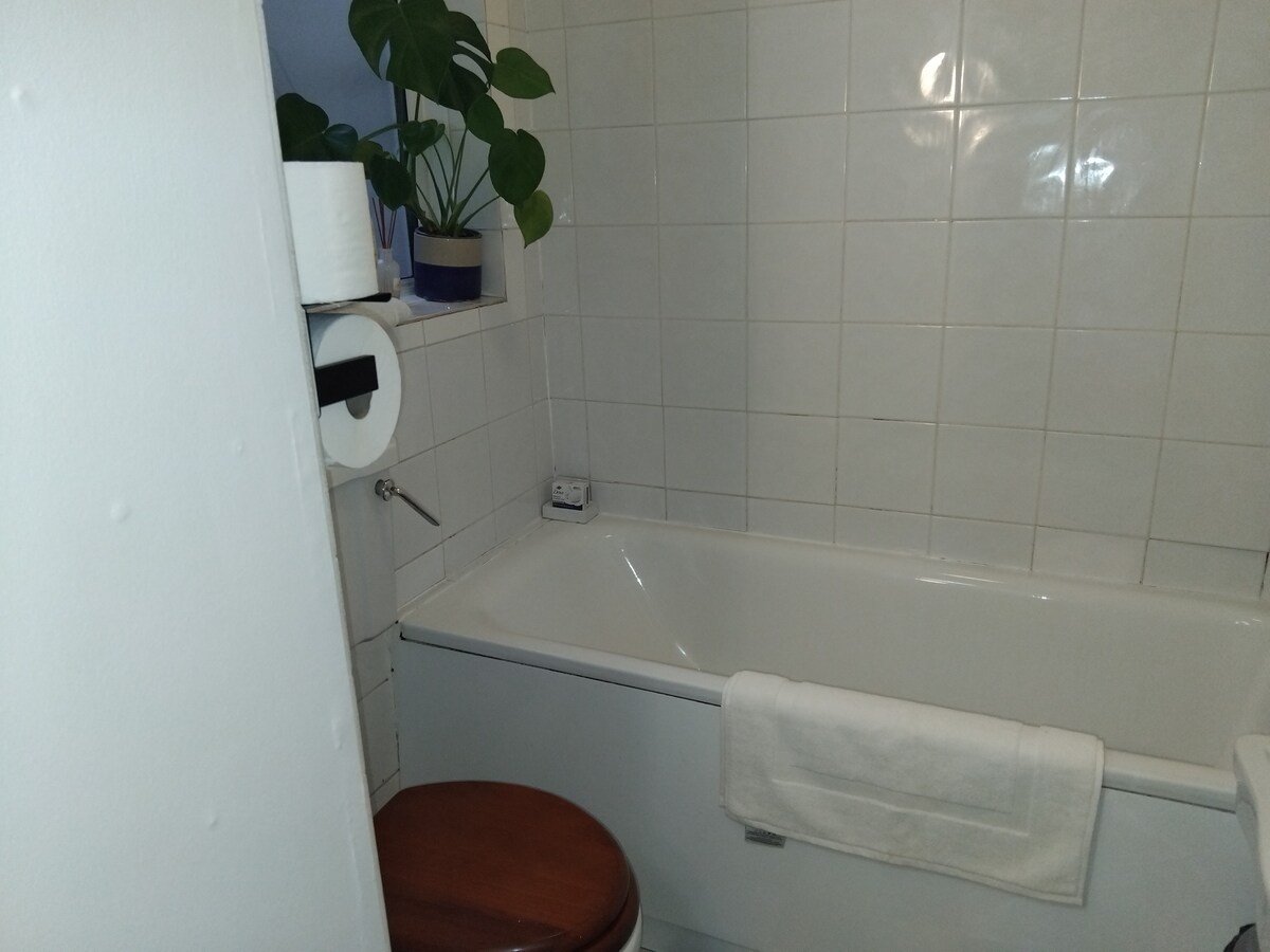 1 bedroom flat, Putney - Flats for Rent in Greater London, England ...