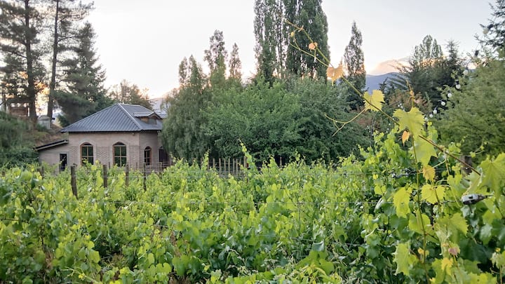 Finca Fraschetti Hébergement Dans Domaine Viticole - El Bolsón