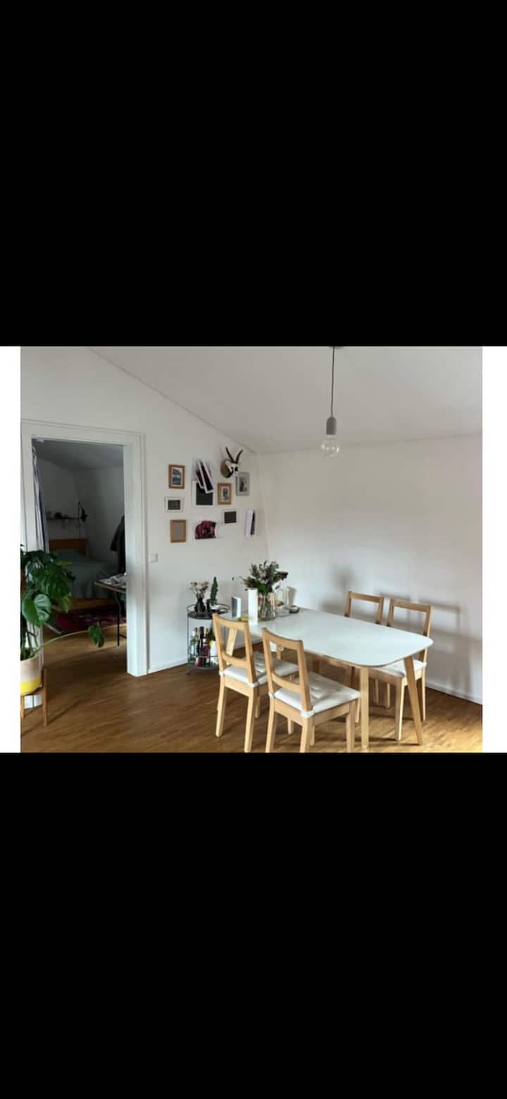 Schöne Wohnung In Maxvorstadt - Múnich