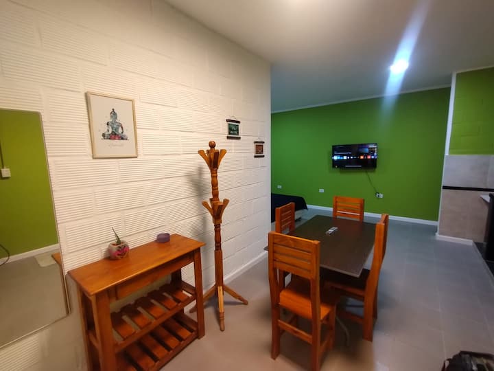 Dptos Cecy - Centenario