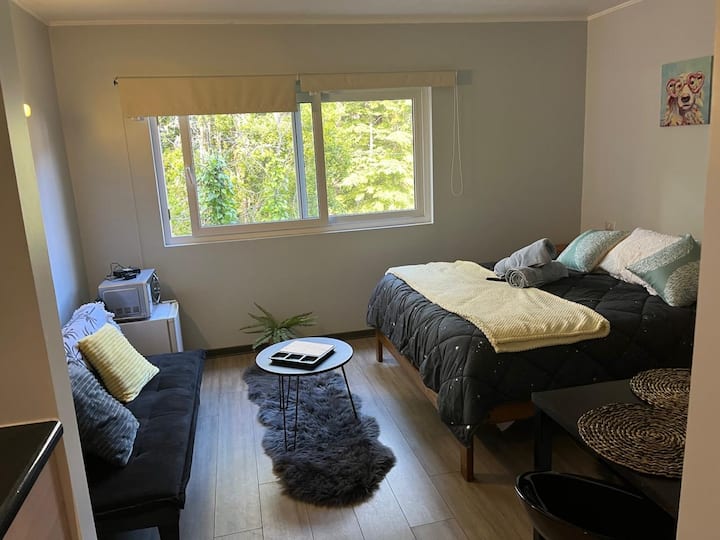 Departamento En Condominio Pucon Andino - Pucon