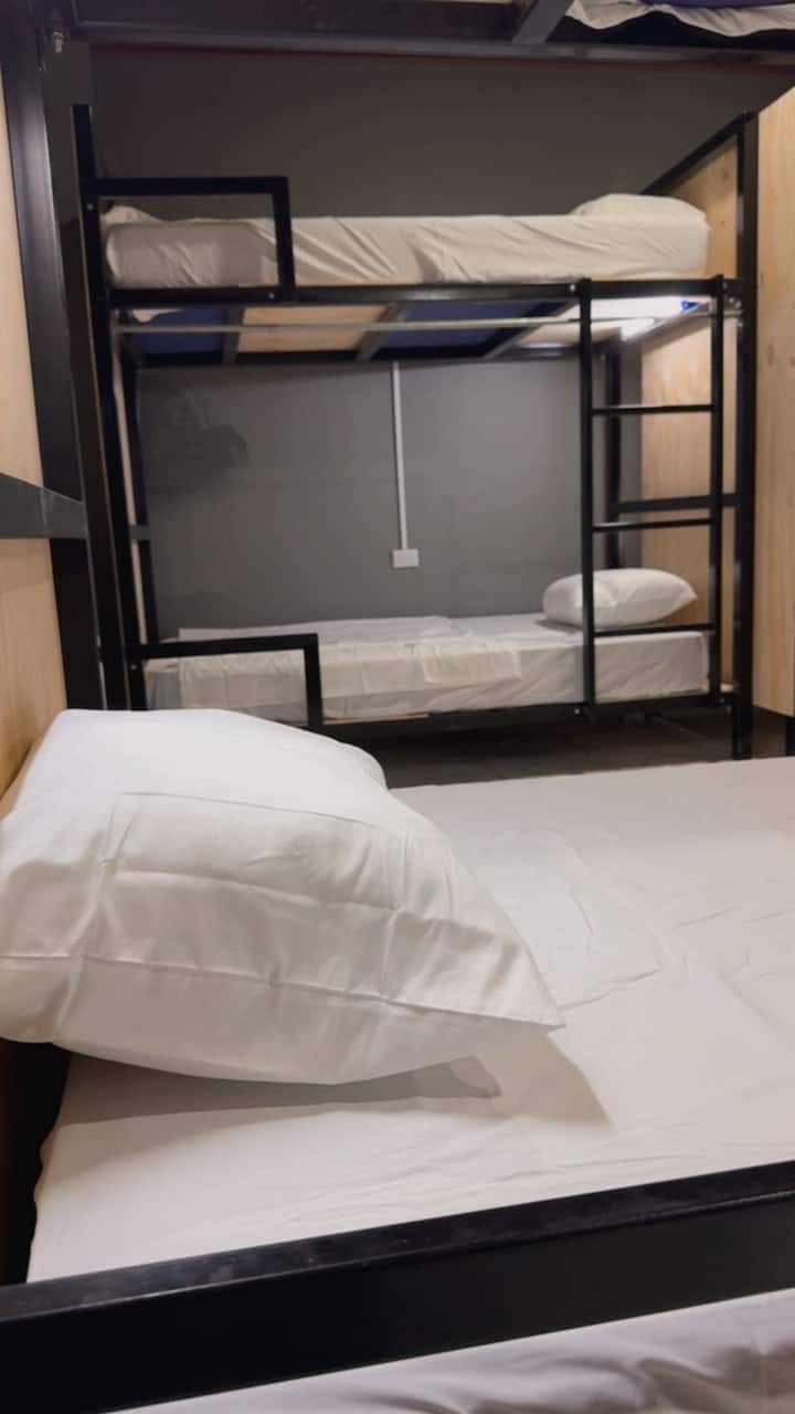 Milo's Bunk Bed - Santa Ana