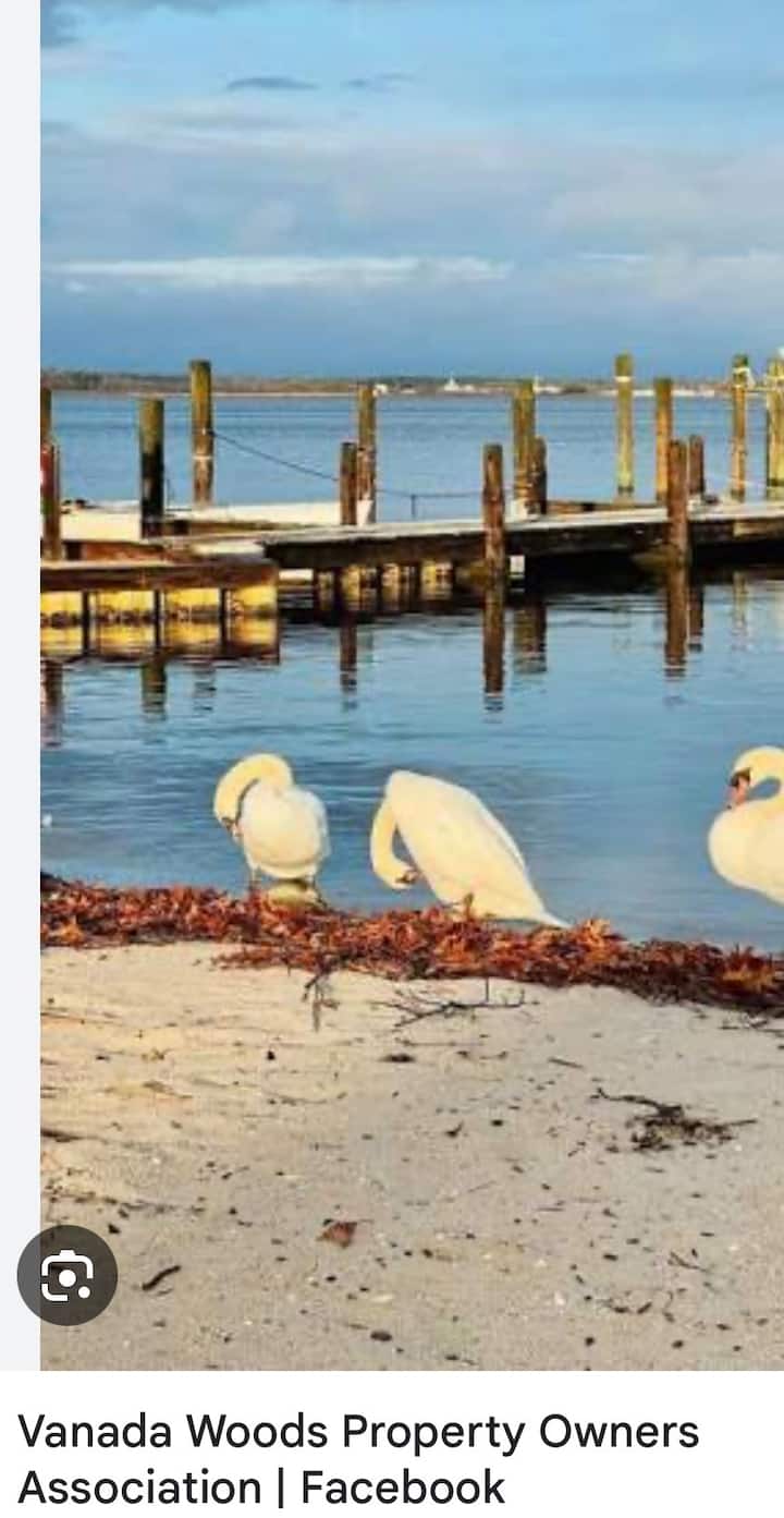 One Bed One Bath - Point Pleasant, NJ