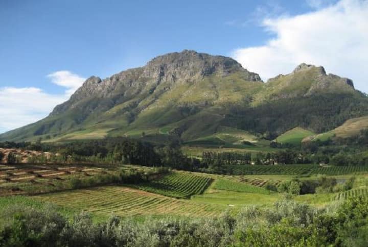Majestic Mountain Views In The Cape Town Winelands - Stellenbosch