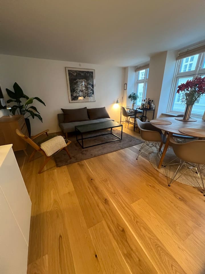 Cozy Appartment At The Heart Of Copenhagen - Köpenhamn