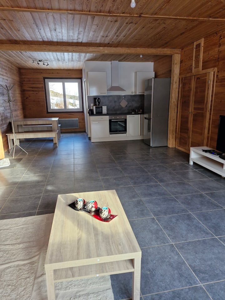 Grand Appartement Lumineux - Abondance