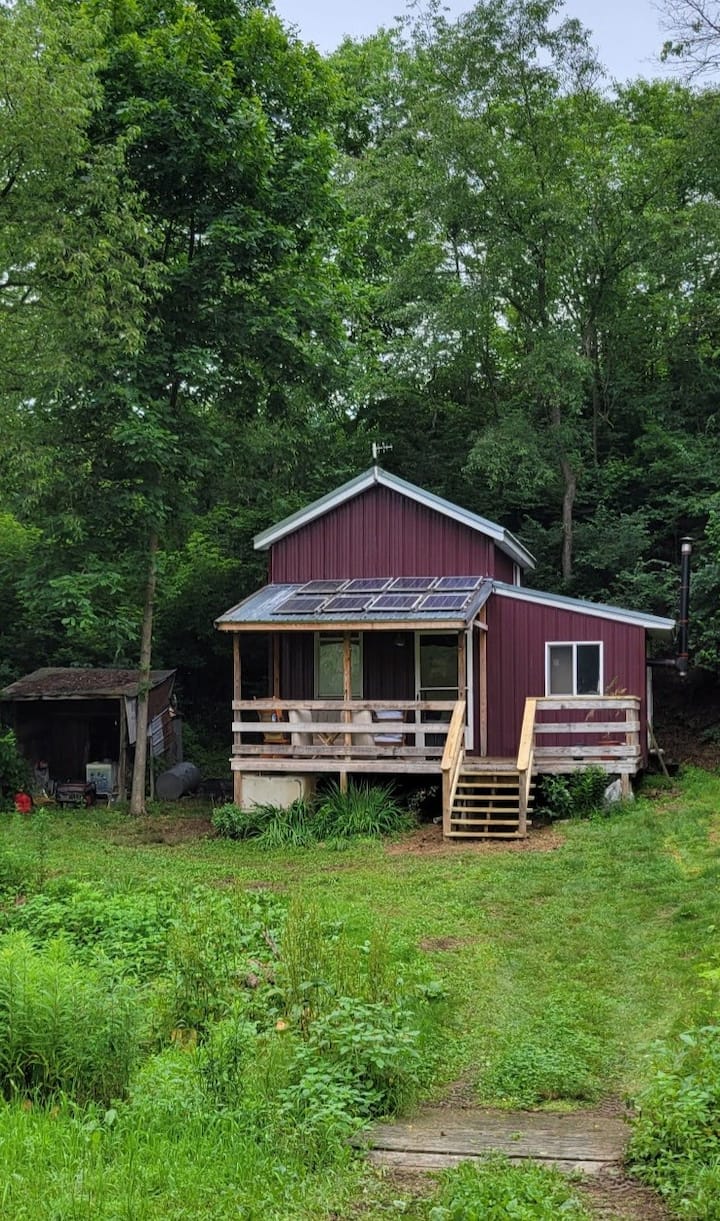 Mulberry Cabin - Pennsylvania