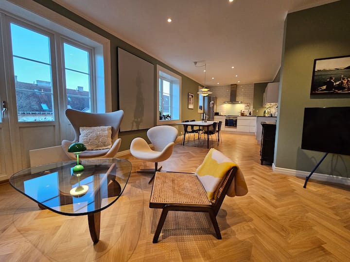 Spacious Apartment In Excellent Neighbourhood - Oslo