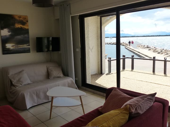 Large Apartment With Great Lake And Mountain Views - Le Barcarès