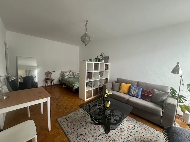 Magnifique Appartement Centre Genève - Genf