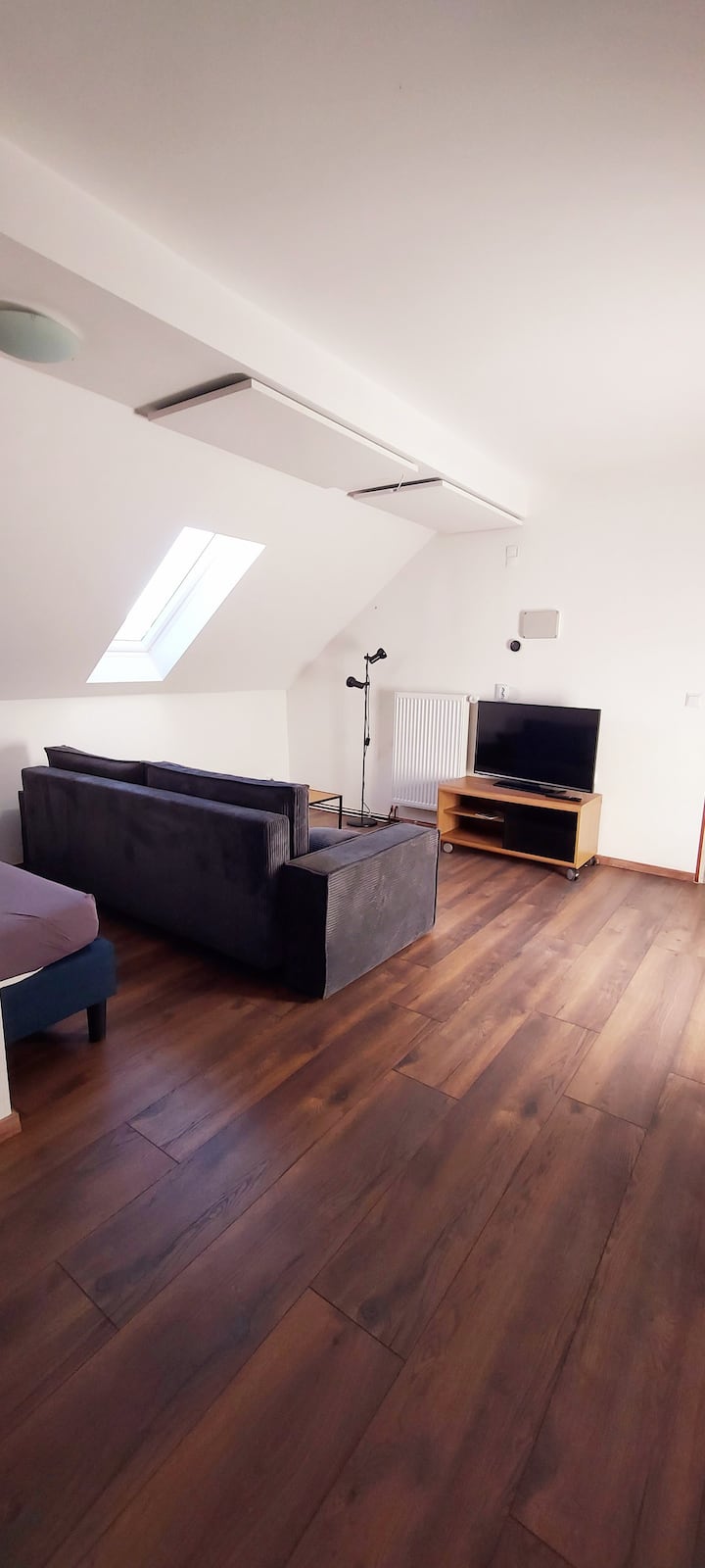 Großes Dachgeschoss Für Bis Zu 10 Personen - Hahnenklee-Bockswiese