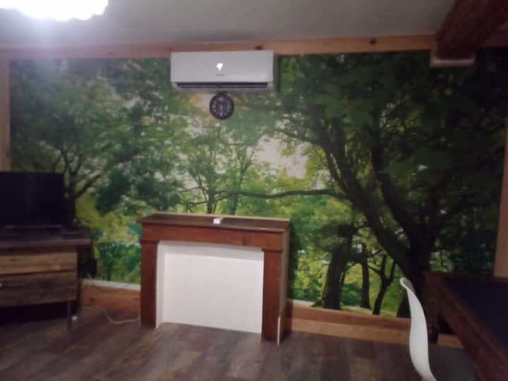 Chambre 2 Pers Sur Jardin à 4 Min De Mirepoix - Mirepoix