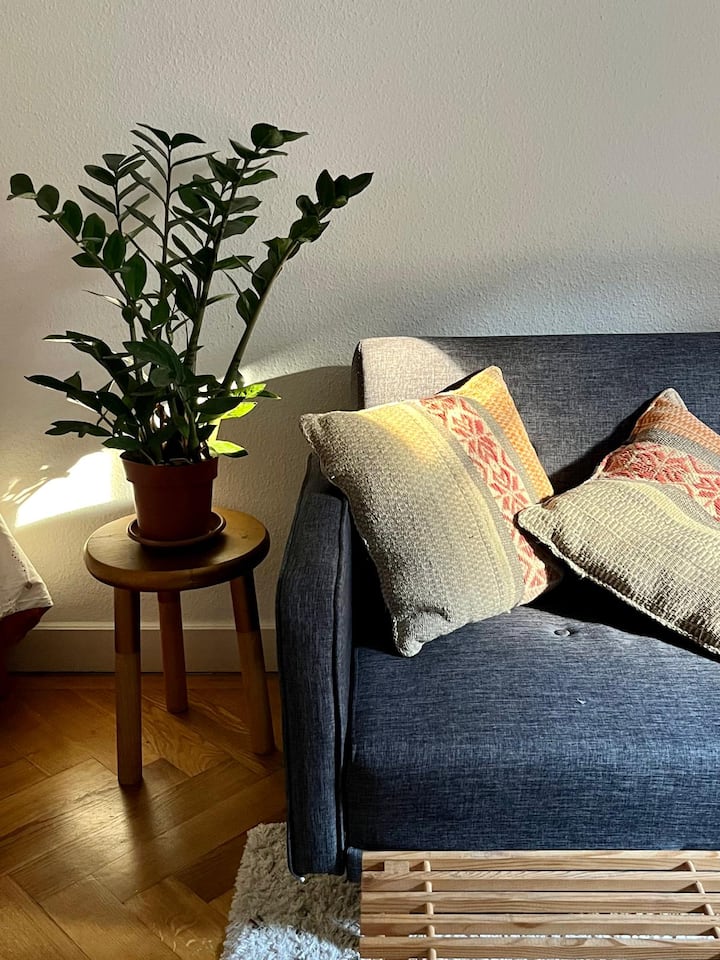 Apartment In Eaux-vives - ジュネーヴ