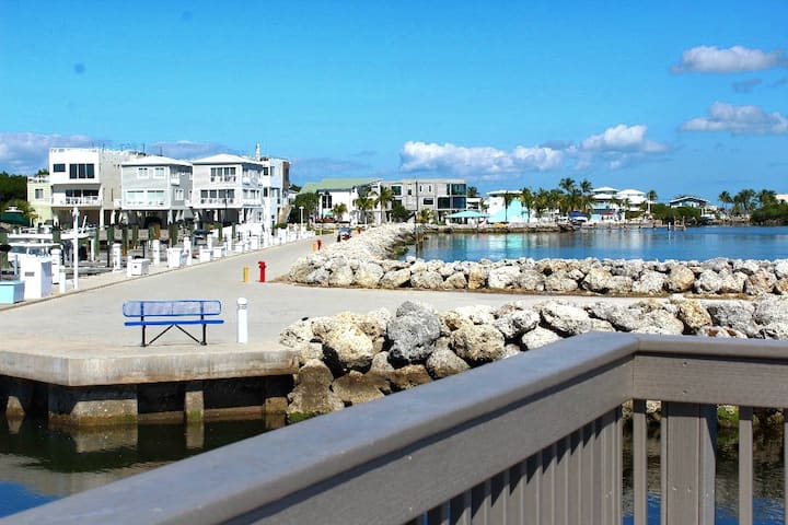 Key Largo Scape: Oceanviews, Palms, Pool, Relax - Key Largo, FL