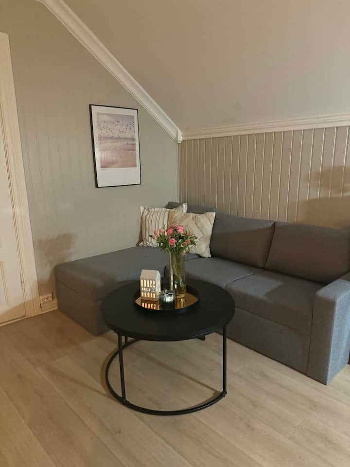 Sentral Hybel, Kort Avstand Til Color Line Og Tog - Larvik