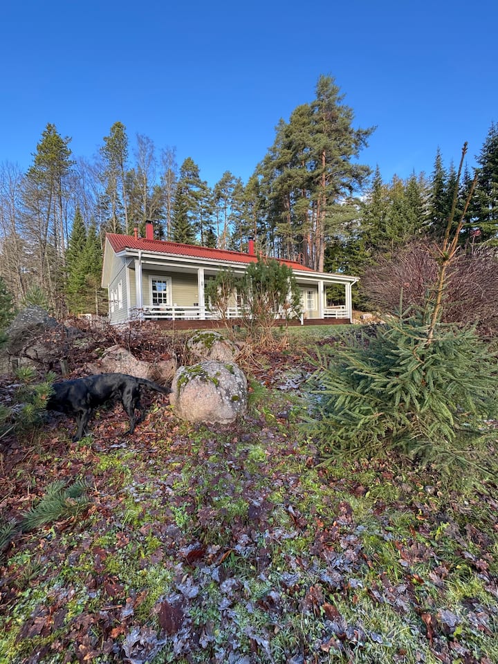 Huvila Tietyntammi, Lähellä Palveluita - Loppi