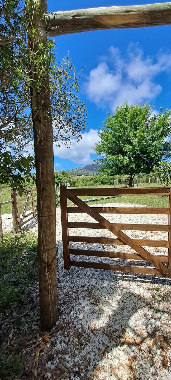 Horizonte Verde - Pan de Azucar
