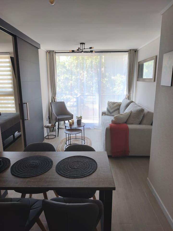 Boutique 2d2b Cerca Parque Almagro/metro - Santiago