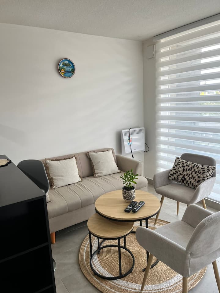Departamento Céntrico, A Pasos De La Costanera. - Valdivia
