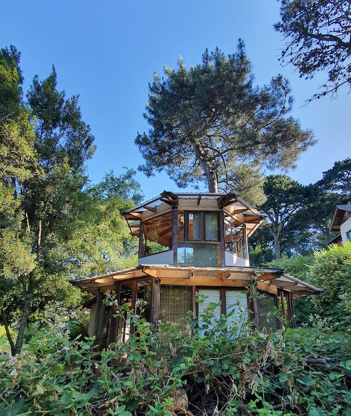 Octógono Soñado Lodge - Argentina