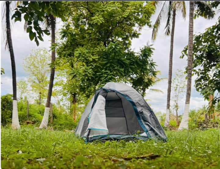 Day Out Farm - Fun With Family, Family Time. - Kanakapura