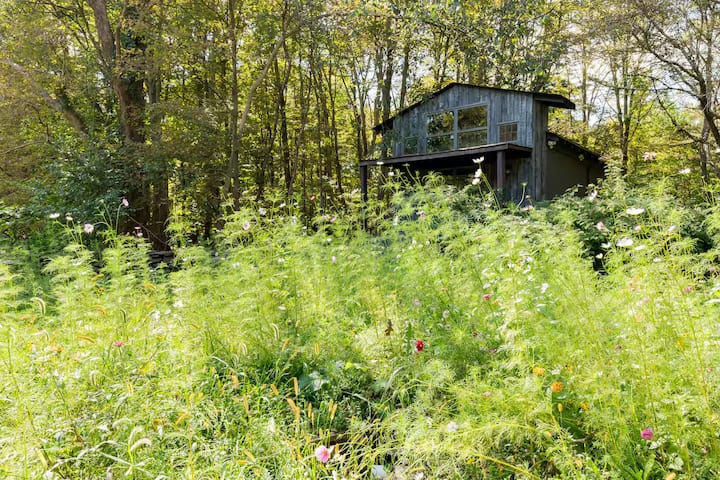 The Arts & Crafts House - Skylights/deck/firepit - Woodstock, NY