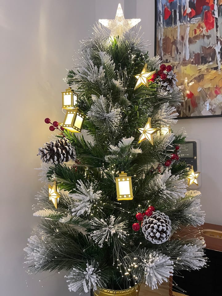 三間雙人房,一廳,二套衛浴,蘆洲三民高中捷運站3分鐘 - 新莊區