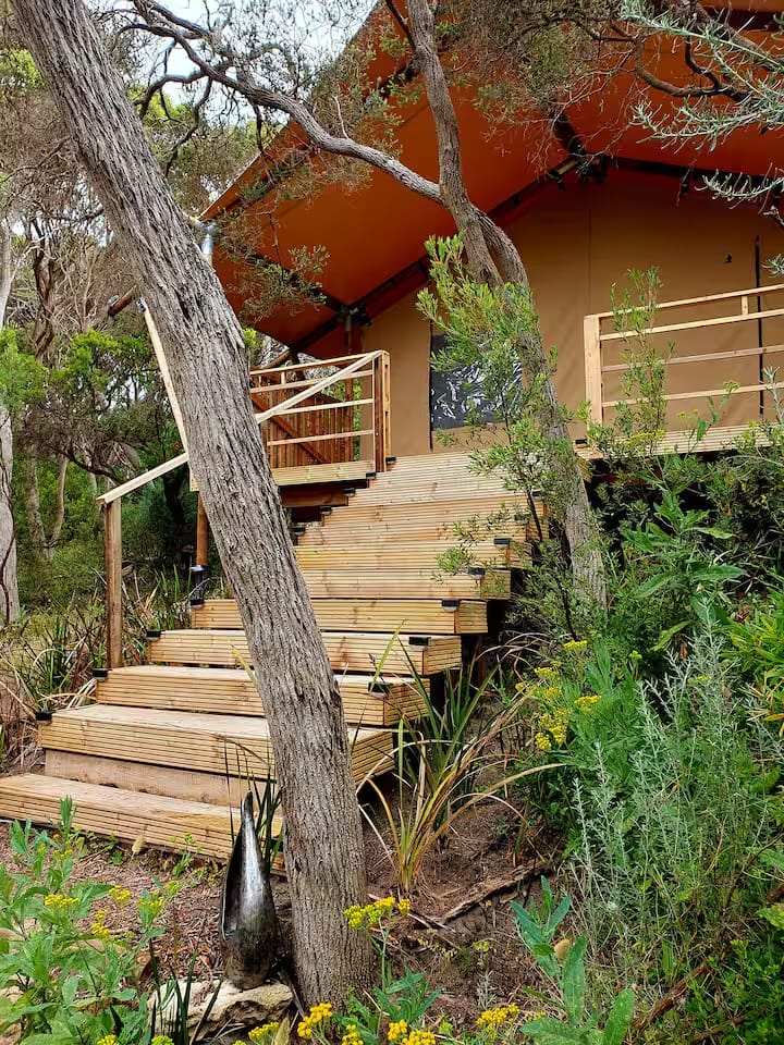 A Safari Tent At Robe - Robe