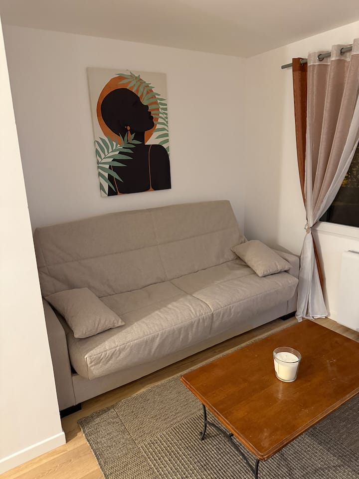 Studio 15/20 Minutes Aéroport Orly - ibis budget Grigny Centre