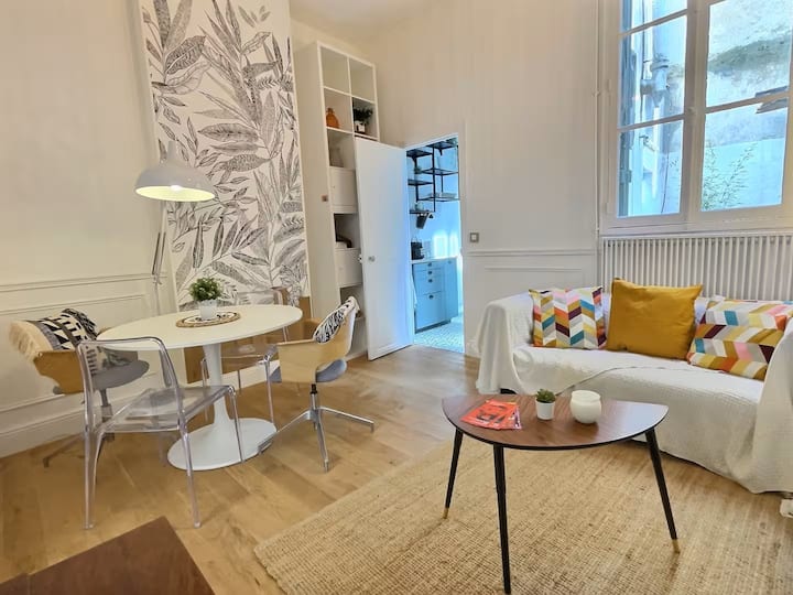 Appartement Hypercentre Avec Cour Privée - Orléans