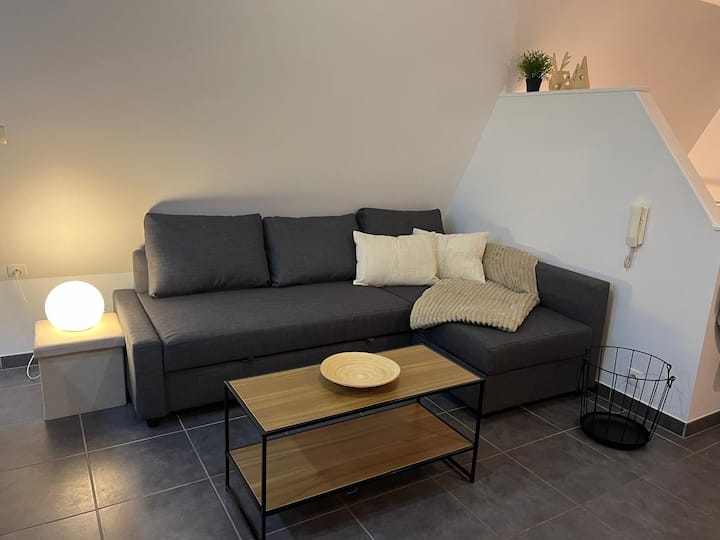 Sand & Chill - Appartement 65r - Rouffach