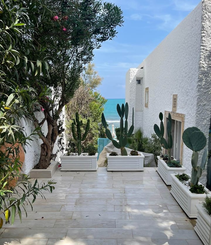 Le Loft Face à La Mer. - Tunisia