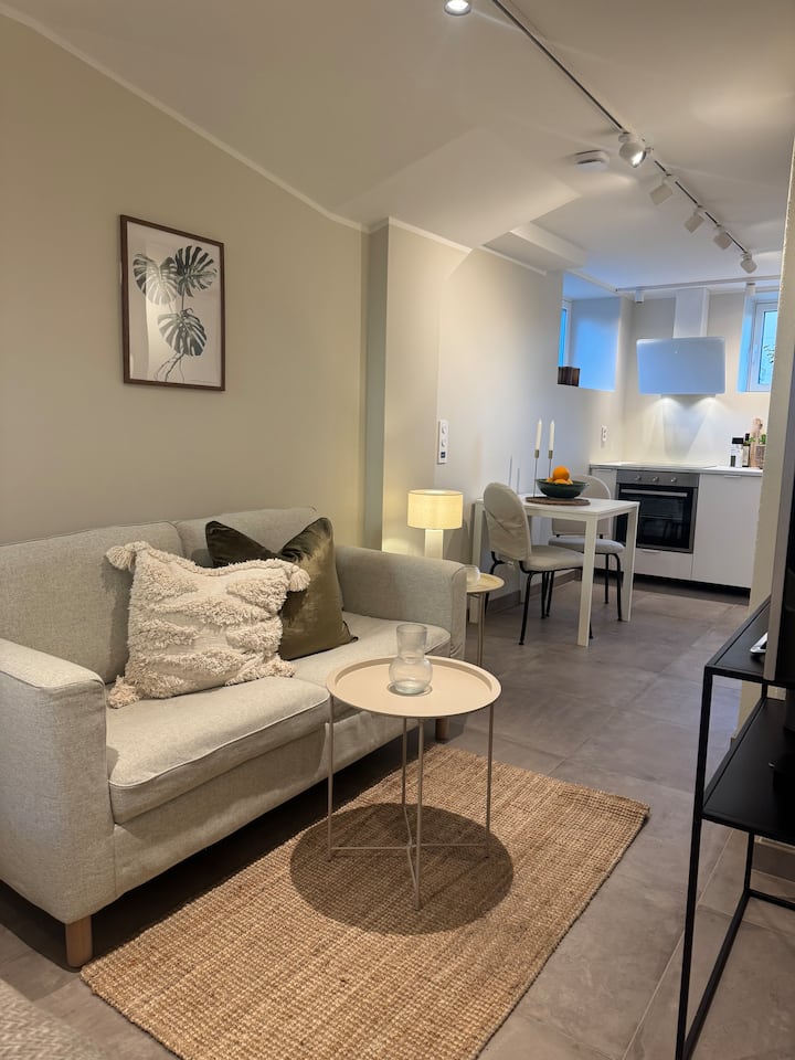 Helt Nyoppusset Leilighet M/ Parkeringsplass - Oslo