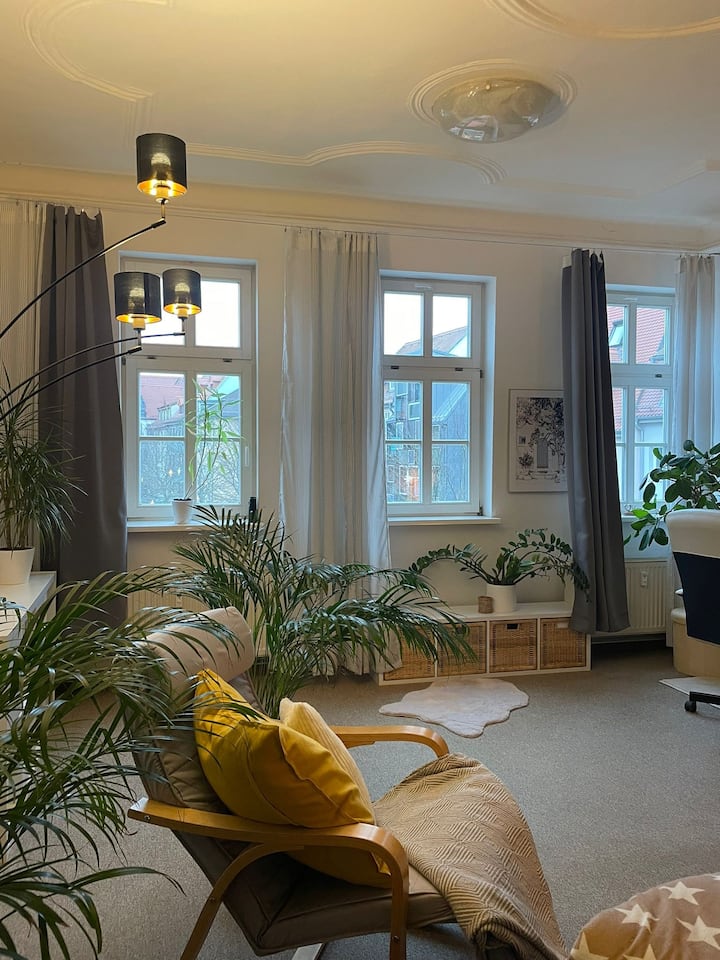 Gemütlich, Moderne Innenstadtwohnung - Jena