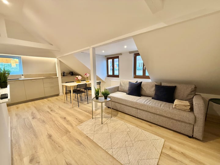Charmant Cocon Sous Les Toits à Strasbourg - Schiltigheim